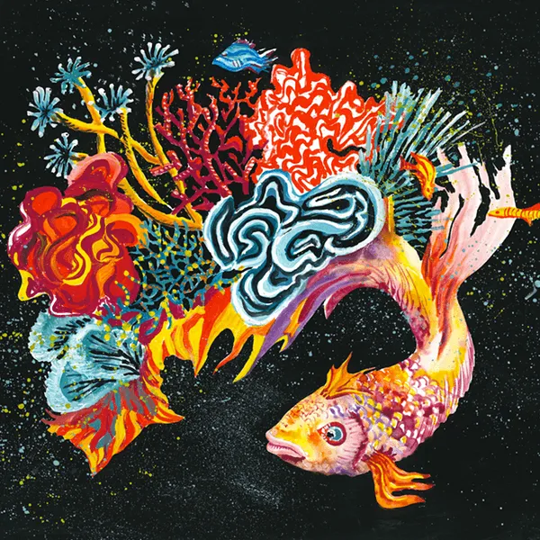 Science Without Borders Challenge 2019 | Graphic Competitions