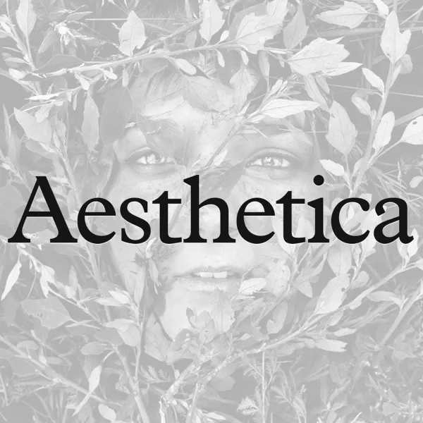 The Aesthetica Art Prize Competition 2019 | Graphic Competitions