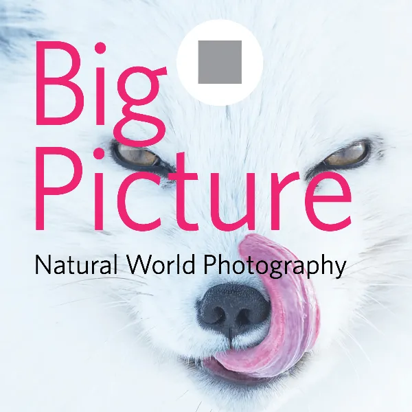 2023 BigPicture Natural World Photography Competition | Graphic ...